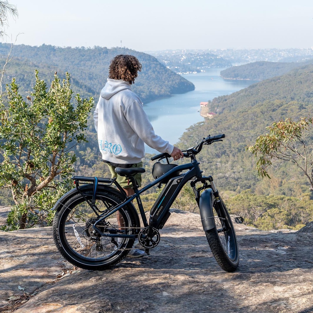 DiroDi Vivo Cruiser Fat Tire Electric Bike, Afterpay Australia